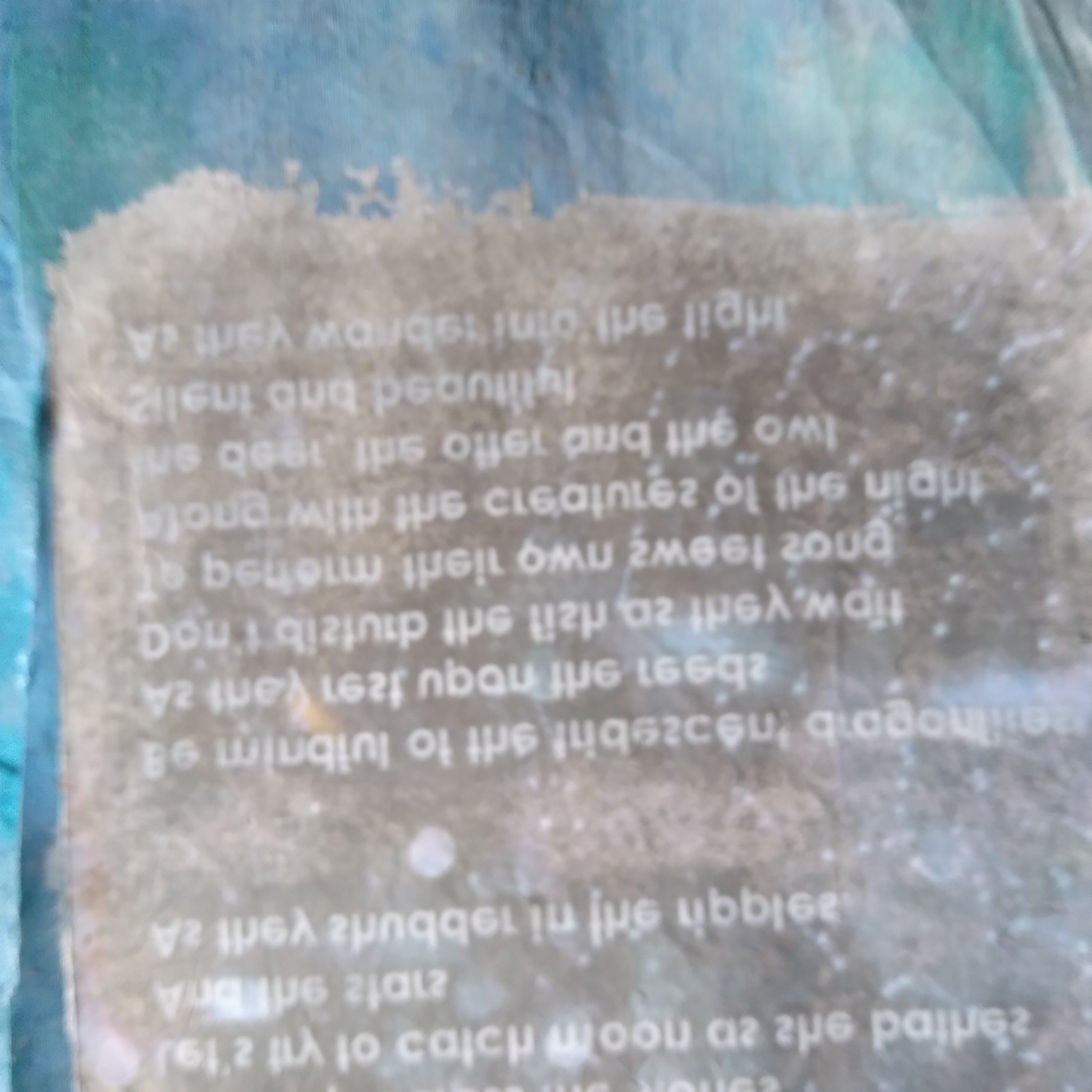 Modge Podge photo transfer on silk fabric – Karima Rebecca Powell Artist